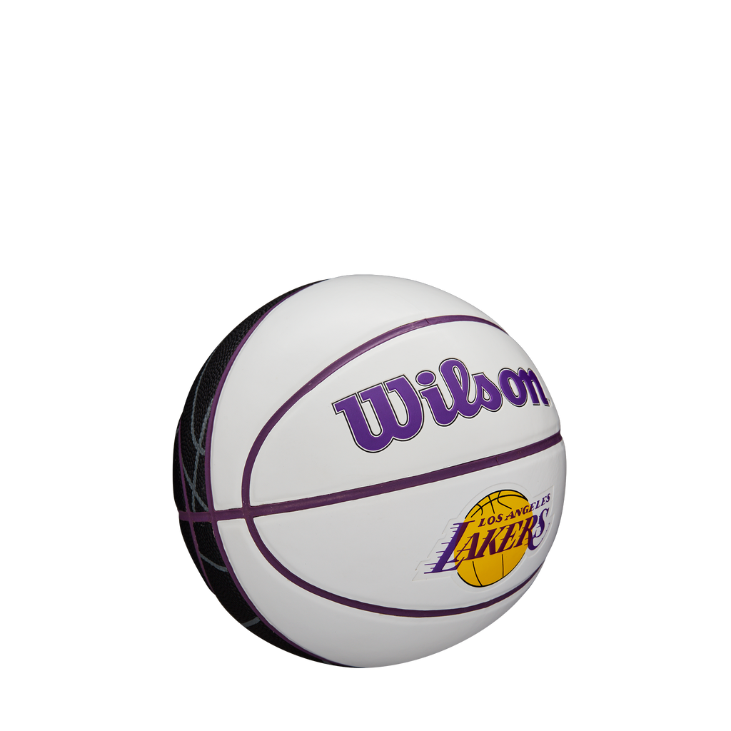 WILSON NBA TEAM AUTOGRAPH MINI BASKETBALL – SPORTS Resources, Inc.