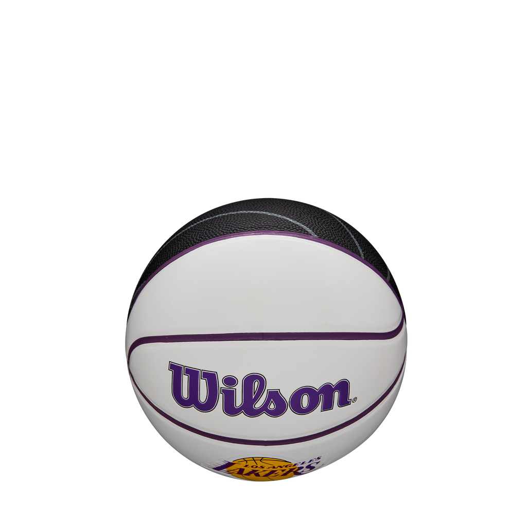 WILSON NBA TEAM AUTOGRAPH MINI BASKETBALL – SPORTS Resources, Inc.